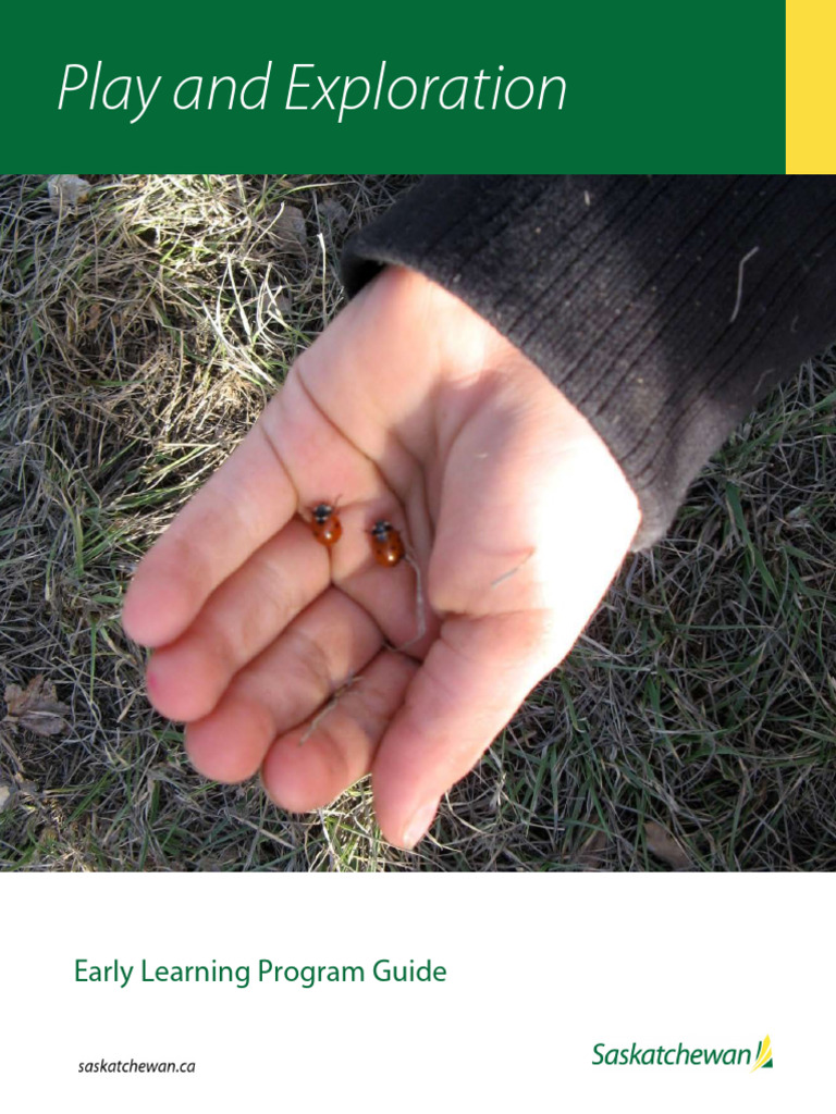 Play and Exploration in Early Learning | PDF | Learning | Preschool