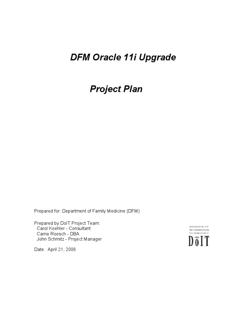 175 - DFM Oracle Upgrade Project Plan | PDF | Business | Computers
