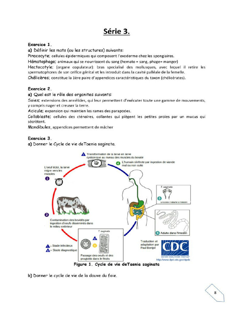 Solution Td3 Biologie Animales Pdf