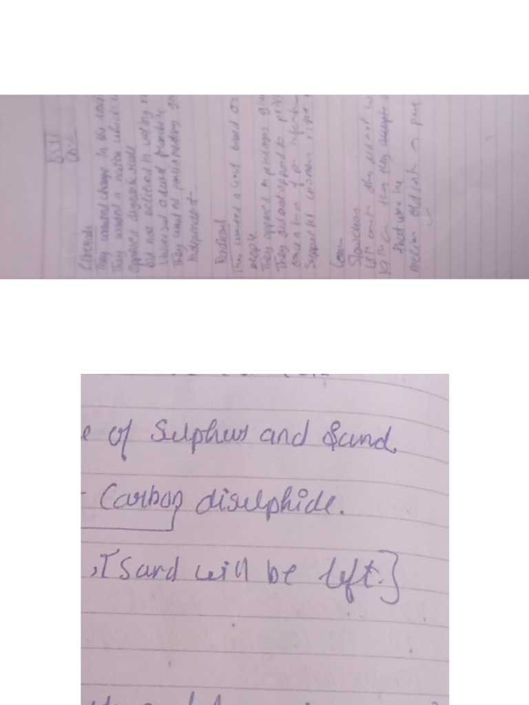 Important Ques SST | PDF