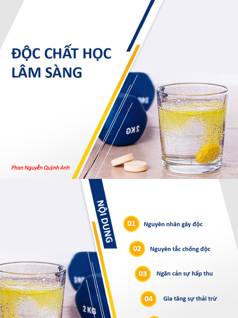 Dieu Tri Ngo | PDF