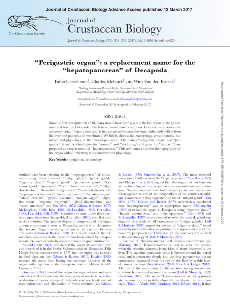 Perigastric Organ" A Replacement Name For The "Hepatopancreas" of ...