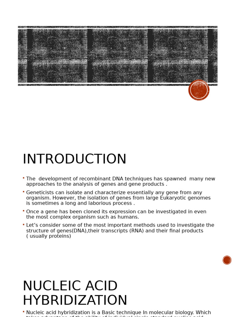 Presentation | PDF | Dna | Gel Electrophoresis