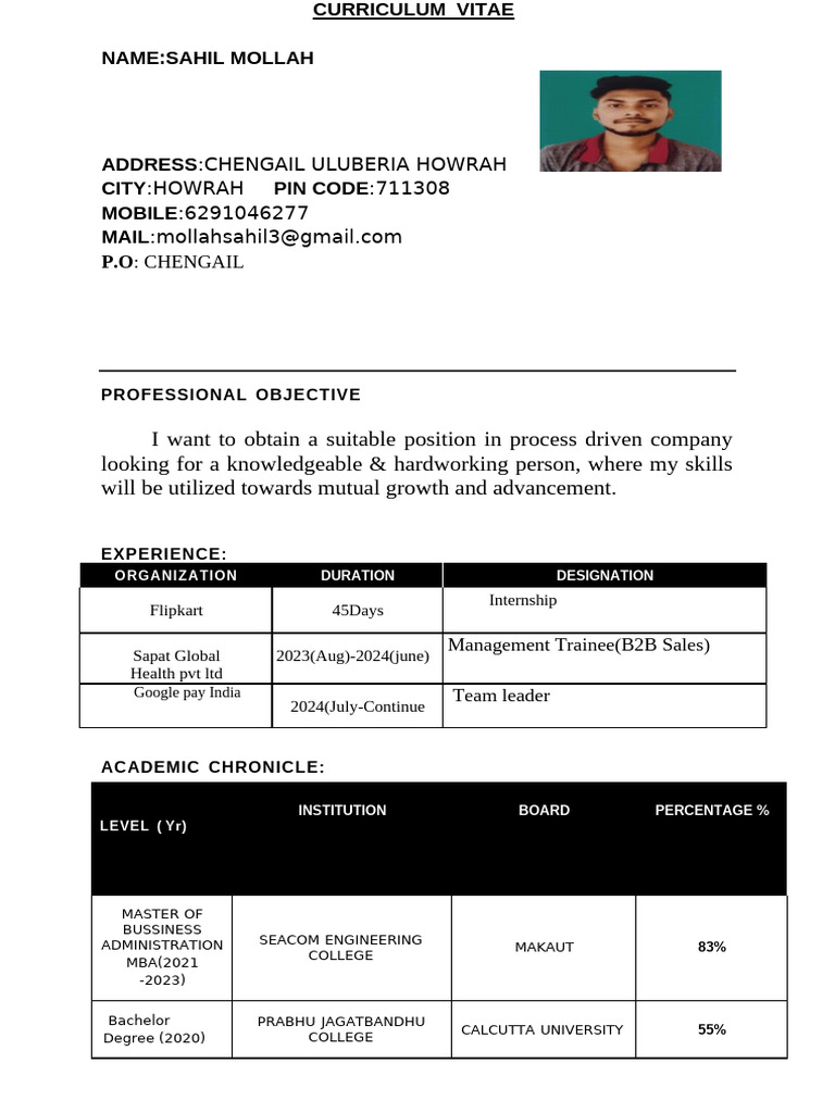 Sahil Mollah CV | PDF | Business