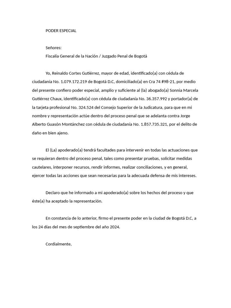 Poder Especial | PDF