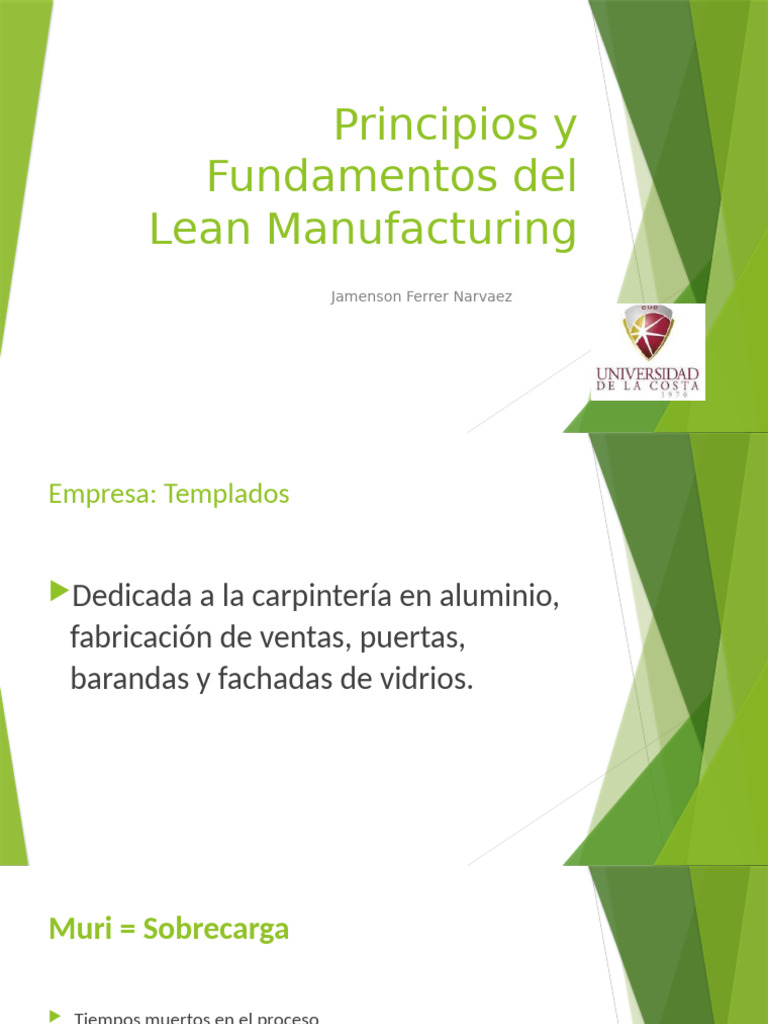 Principios y Fundamentos Del Lean Manufacturing | PDF