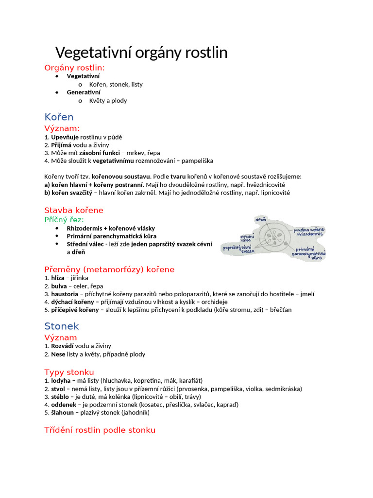 Vegetativní Orgány Rostlin | PDF