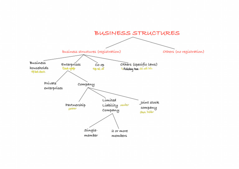 Business Structure Pdf