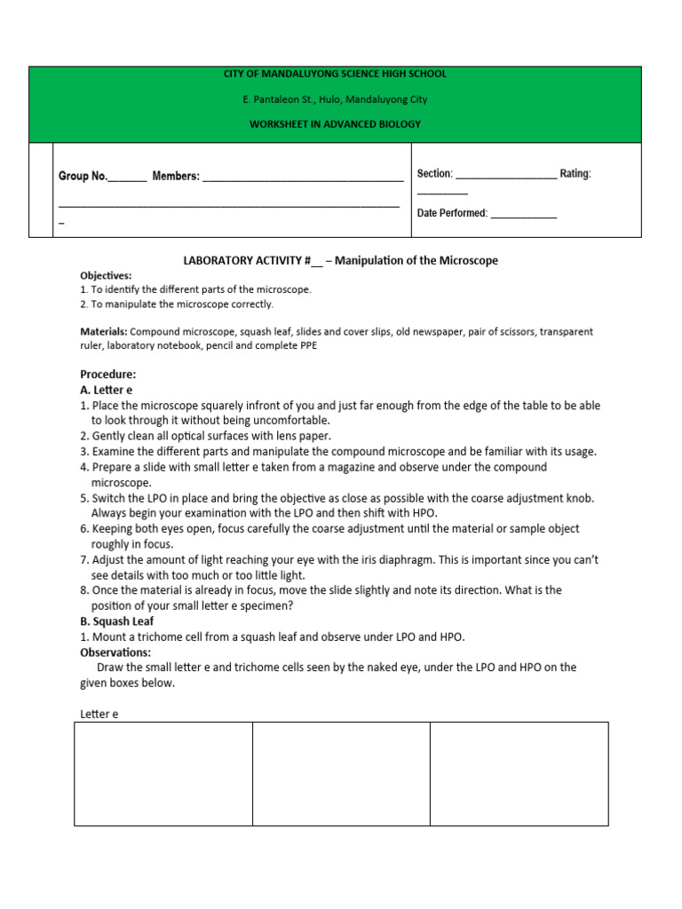 Laboratory Activity Microscope | PDF | Microscope | Optics