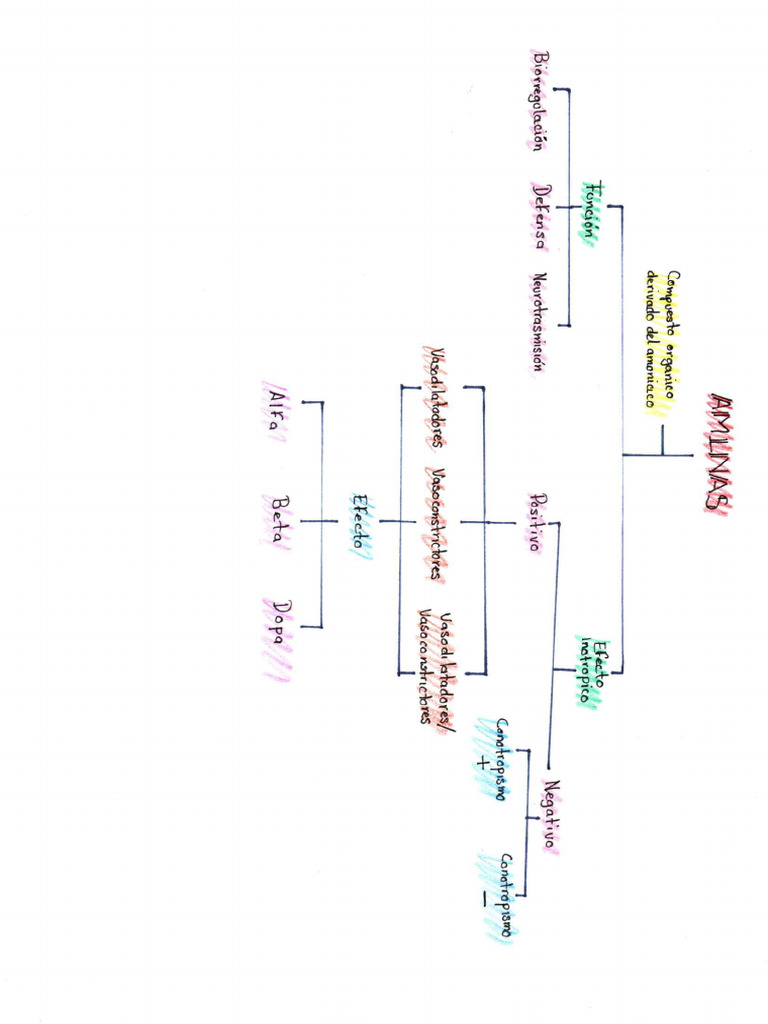 Mapa Conceptual 1 Pdf
