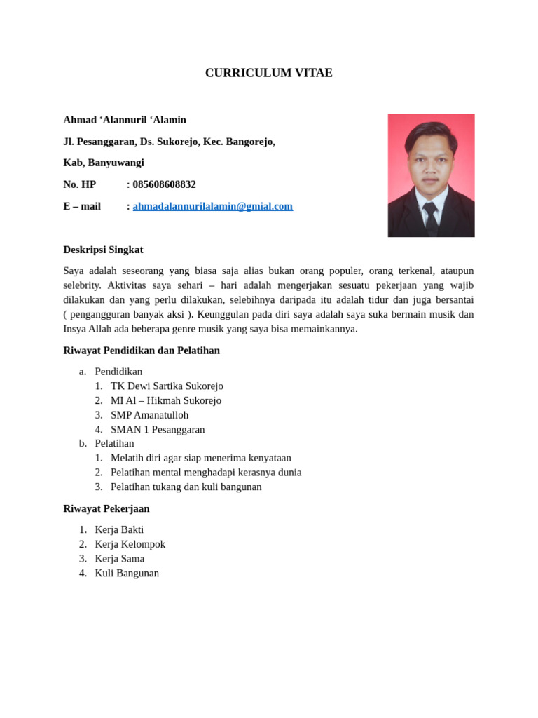 Curriculum Vitae Memet | PDF