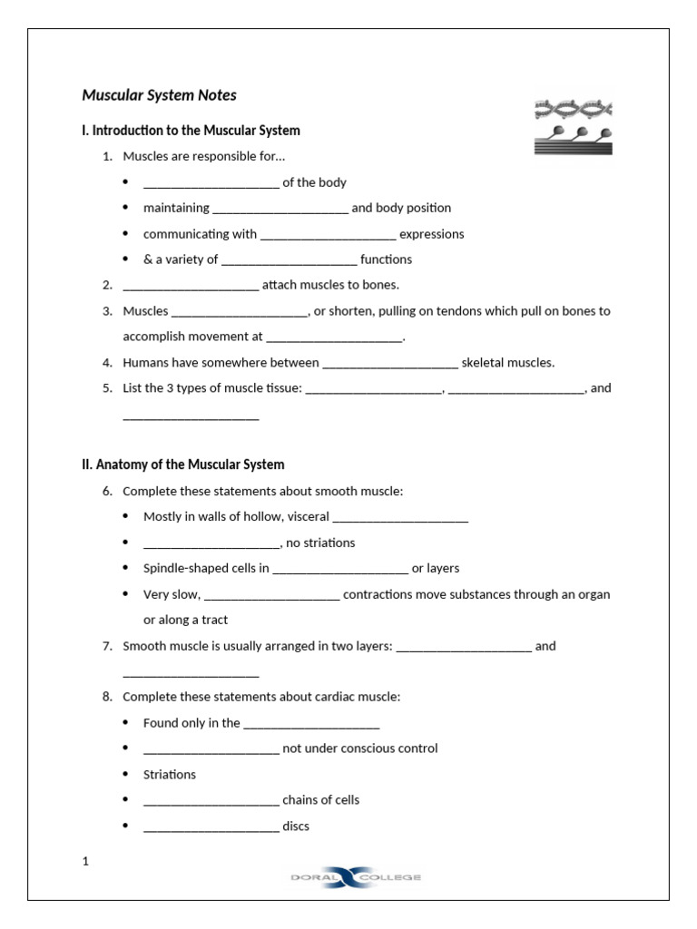 Muscular System Guided Notes | PDF | Muscle Contraction | Muscle