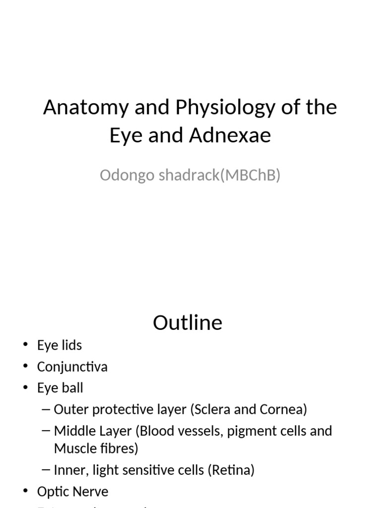 Eye Anatomy and Physiology | PDF | Cornea | Retina