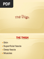 Muscles of The Anterior Thigh - Quadriceps - TeachMeAnatomy | PDF ...