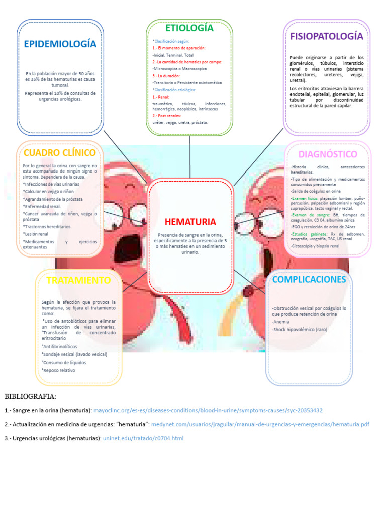 HEMATURIA | PDF | Sistema urinario | Medicina CLINICA