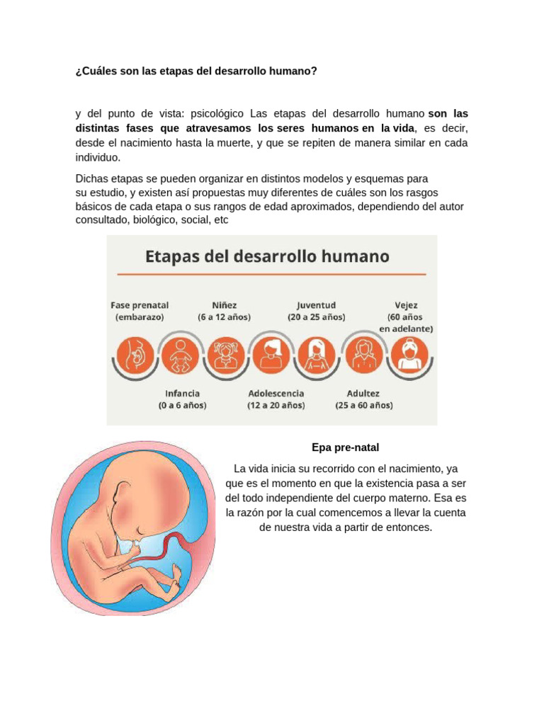 Cuáles Son Las Etapas Del Desarrollo | PDF | Adultos | Vejez