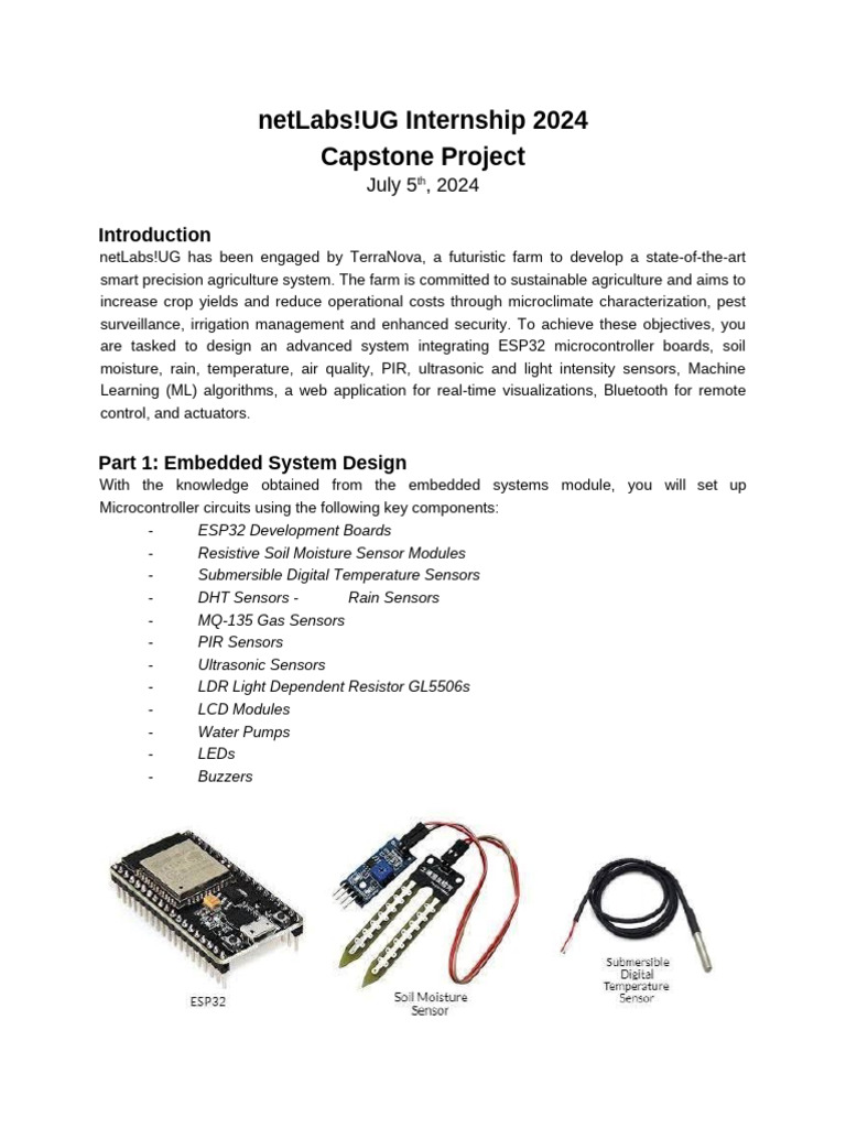 netLabs!UG Internship 2024 Capstone Project | PDF | Machine Learning ...