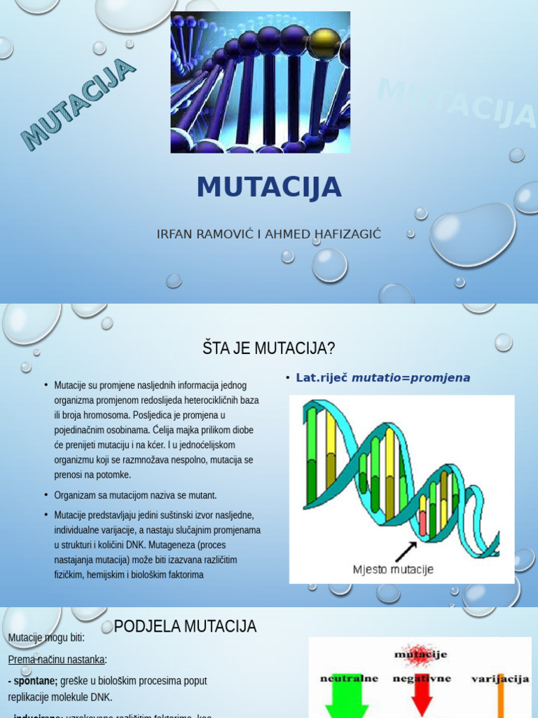MUTACIJA | PDF
