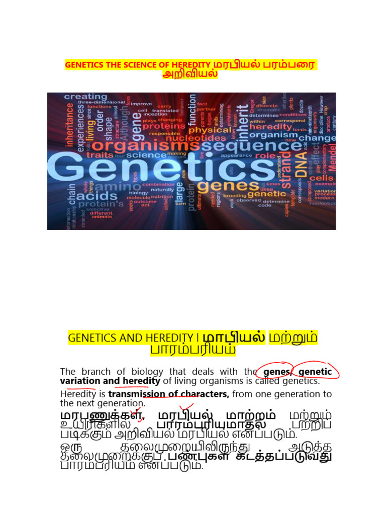 10 ST Genetics | PDF | Ploidy | Dna