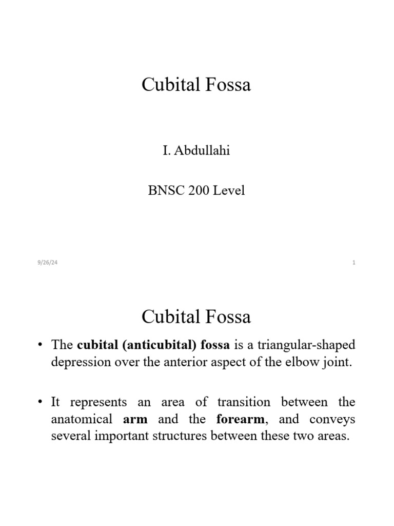 Anatomy and Function of the Cubital Fossa | PDF | Elbow | Arm