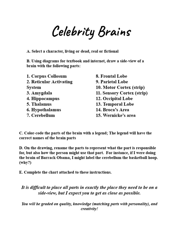01 Project-Brain-Celebrity Brains | PDF | Brain | Human Brain