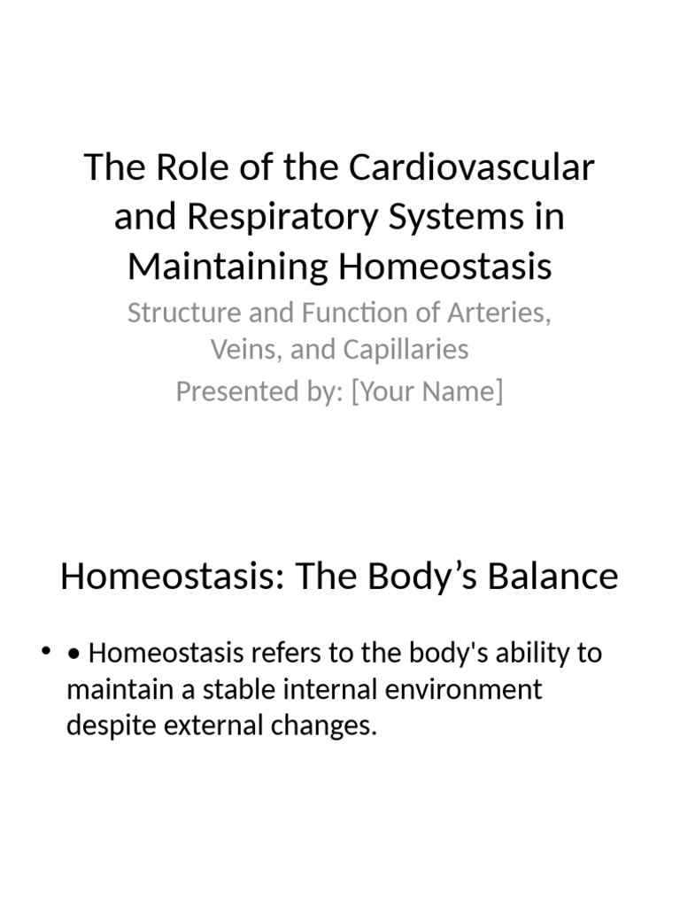 Cardiovascular Respiratory Homeostasis Presentation | PDF | Artery ...