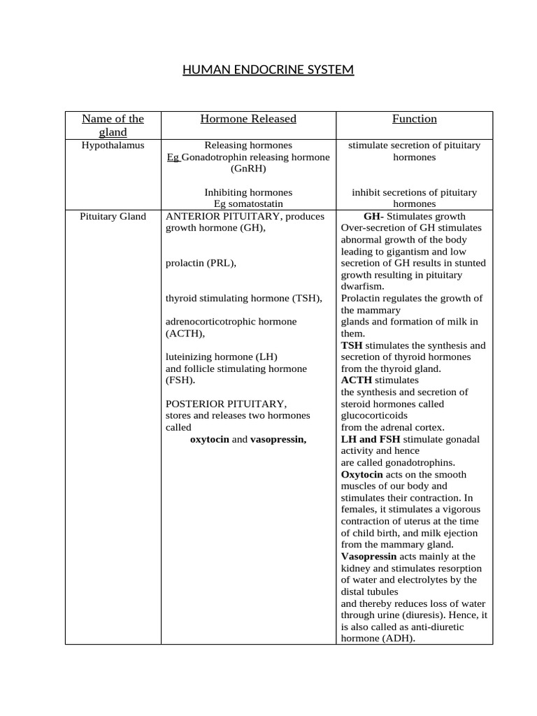 Human Endocrine System | PDF | Adrenal Gland | Pituitary Gland