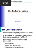 Endocrine System | PDF | Endocrine System | Hormone
