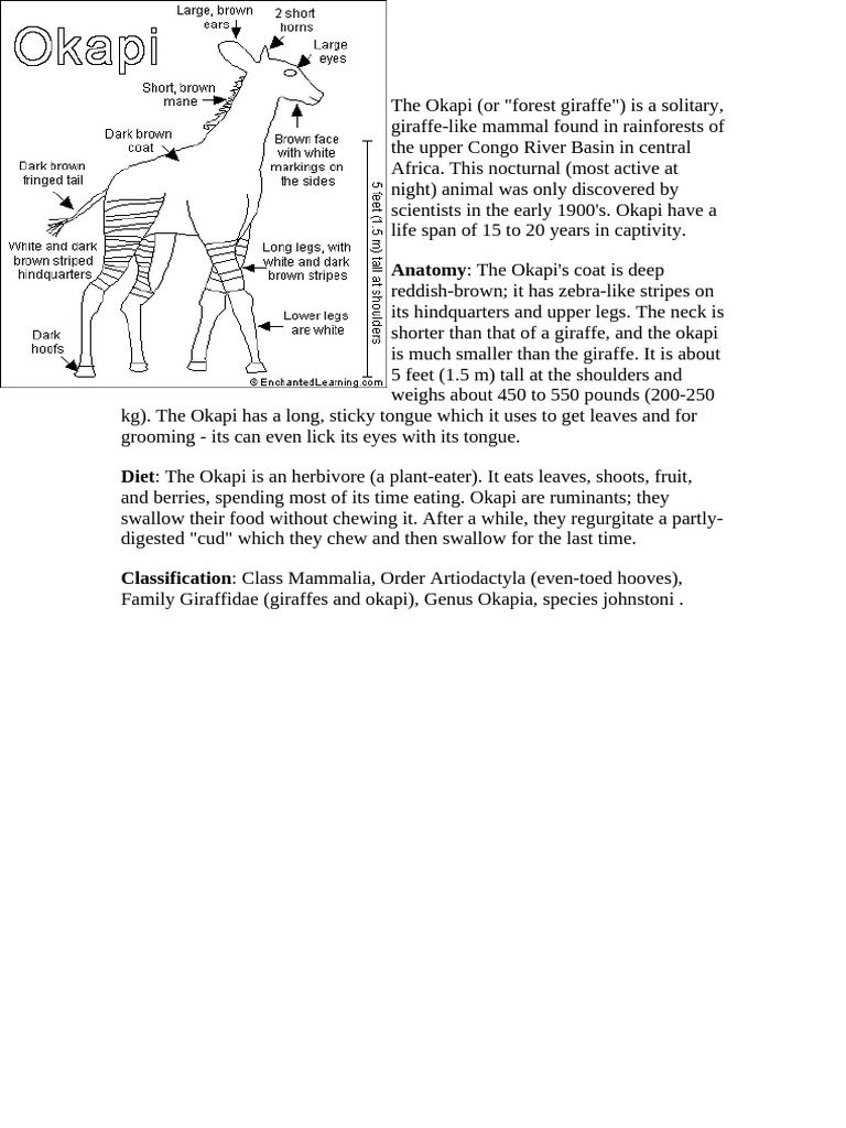 The Okapi | PDF | Home & Garden | General Fiction