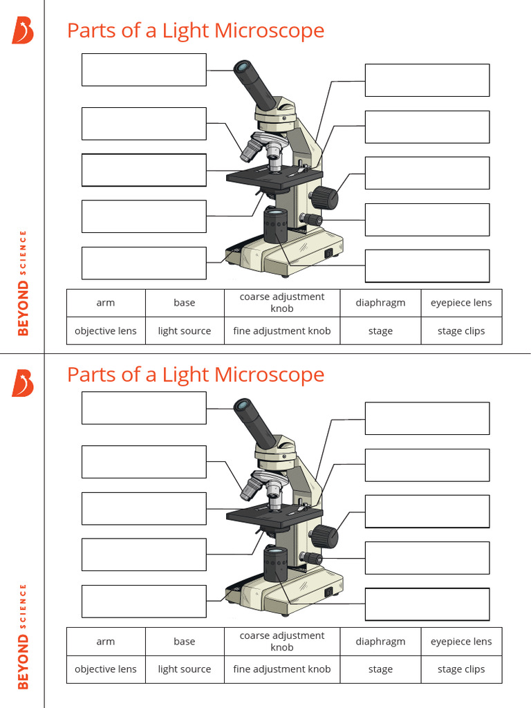 Parts of A Light Microscope A5 | PDF | Science & Mathematics