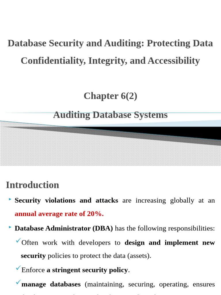 Chapter 6 (2) - Auditing Database Systems (Flash) | PDF | Databases | Computer Security