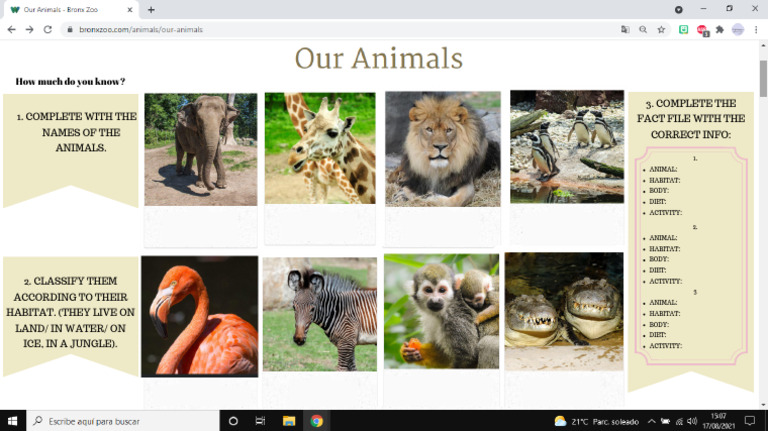 Central Park Zoo Animals Description | PDF | Science & Mathematics