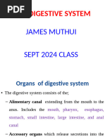 Chapter 11 - Digestive System - Solutions For Class 9 ICSE Concise ...