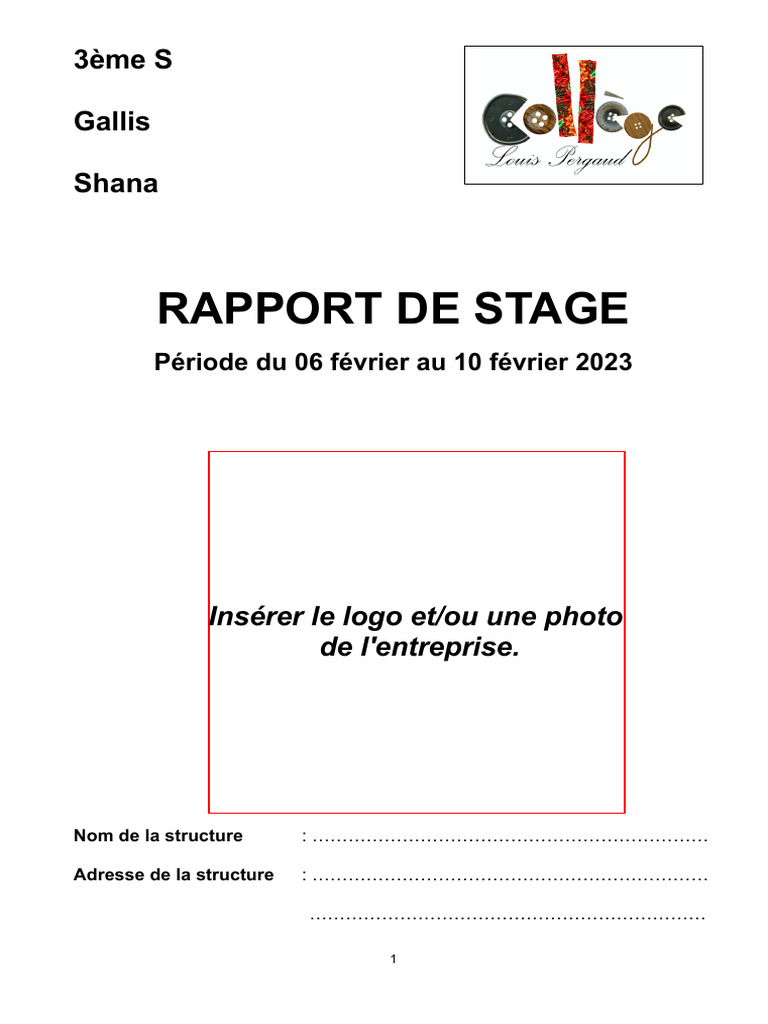 Rapport Stage Layup. | PDF | Évolution de carrière | Affaires