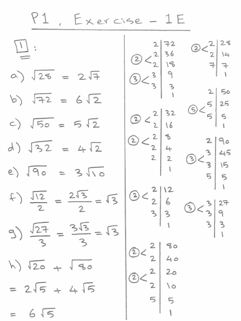 03 - P1, Exercise (1E) | PDF
