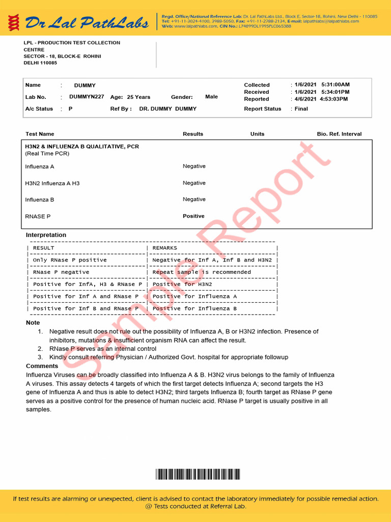 H3N2 Dummy Report | PDF | Influenza | Influenza A Virus