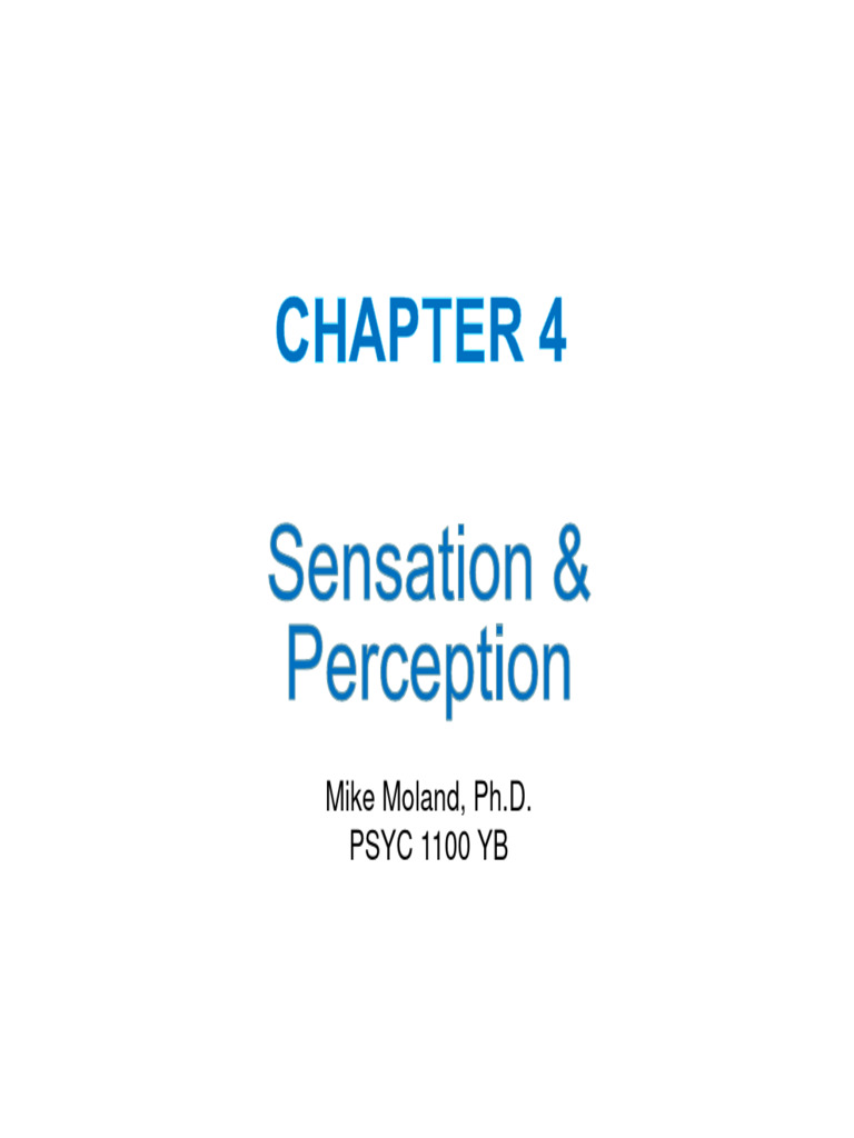 Chapter 4 Slides - Psych 1100 YB - Sensation & Perception | PDF | Perception | Retina