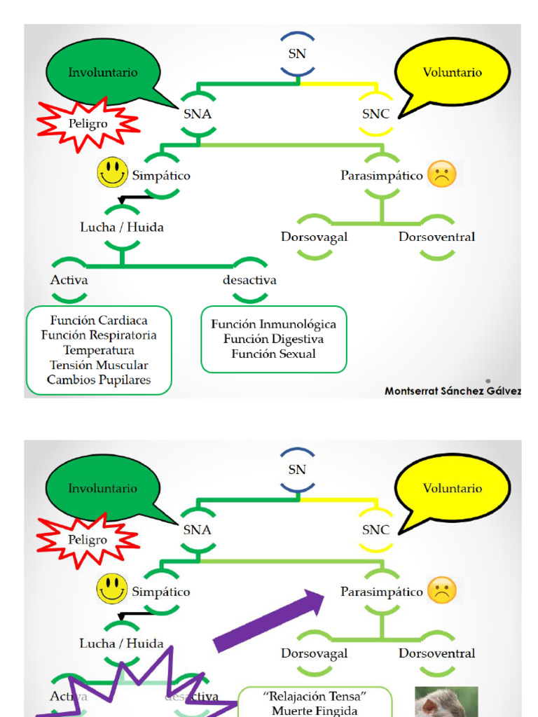 SNC y Sna | PDF