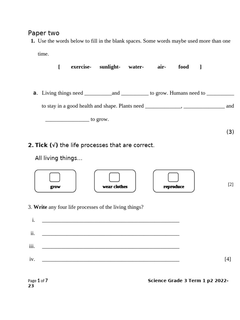 Grade 3 Term Exam Paper 2 | PDF