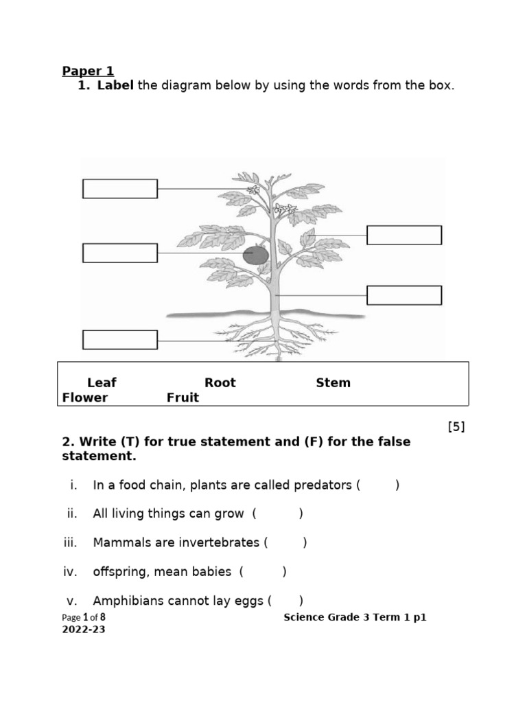 Grade 3 Science Term 1 Exam Paper | PDF | Foods | Predation