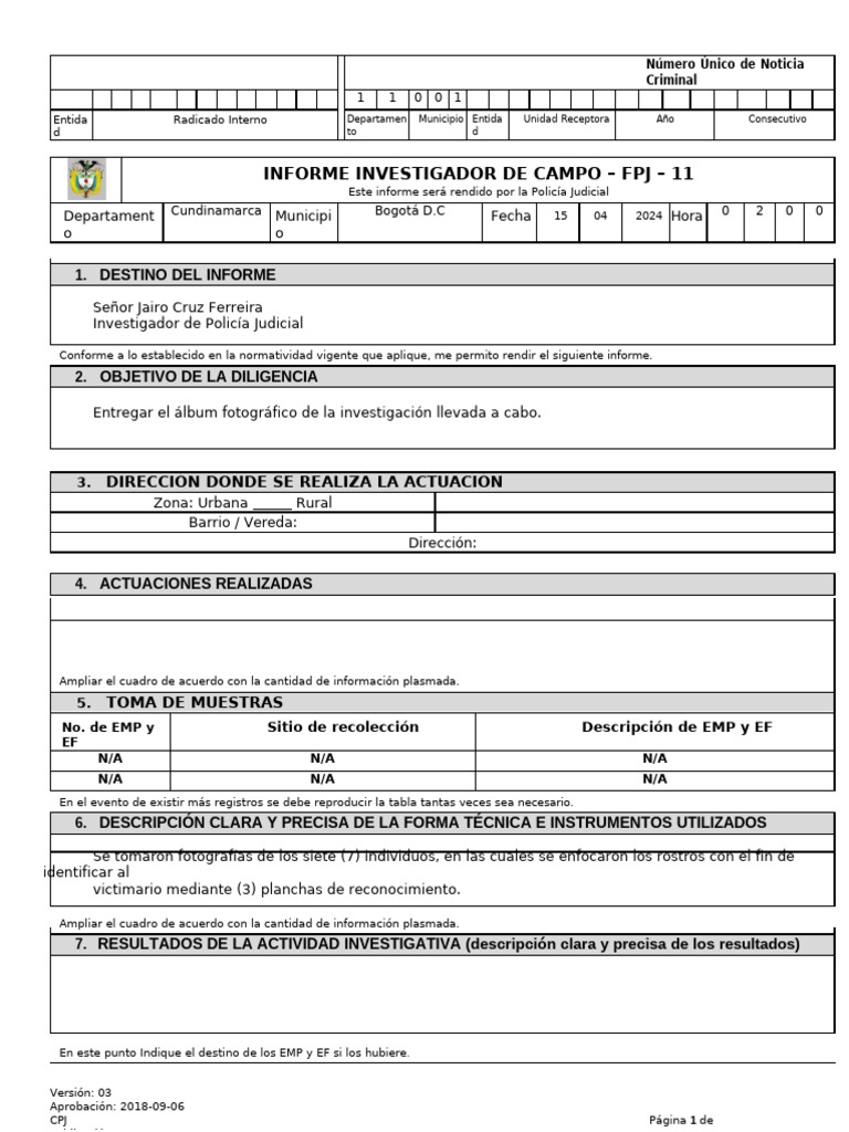 FPJ 11 Informe Investigador de Campo v3 | PDF
