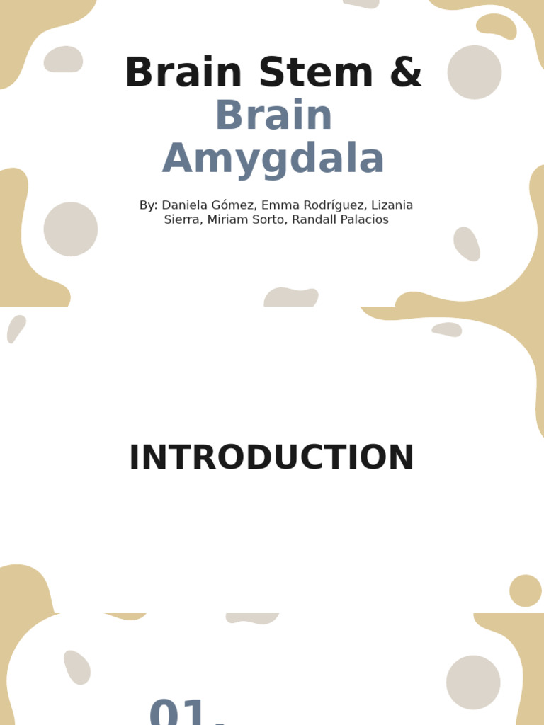 Brain Stem & Amygdala | PDF | Self-Improvement | Science & Mathematics