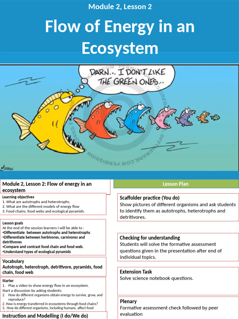 Flow of Energy in Ecosystem Week | PDF | Food Web | Biomass (Ecology)