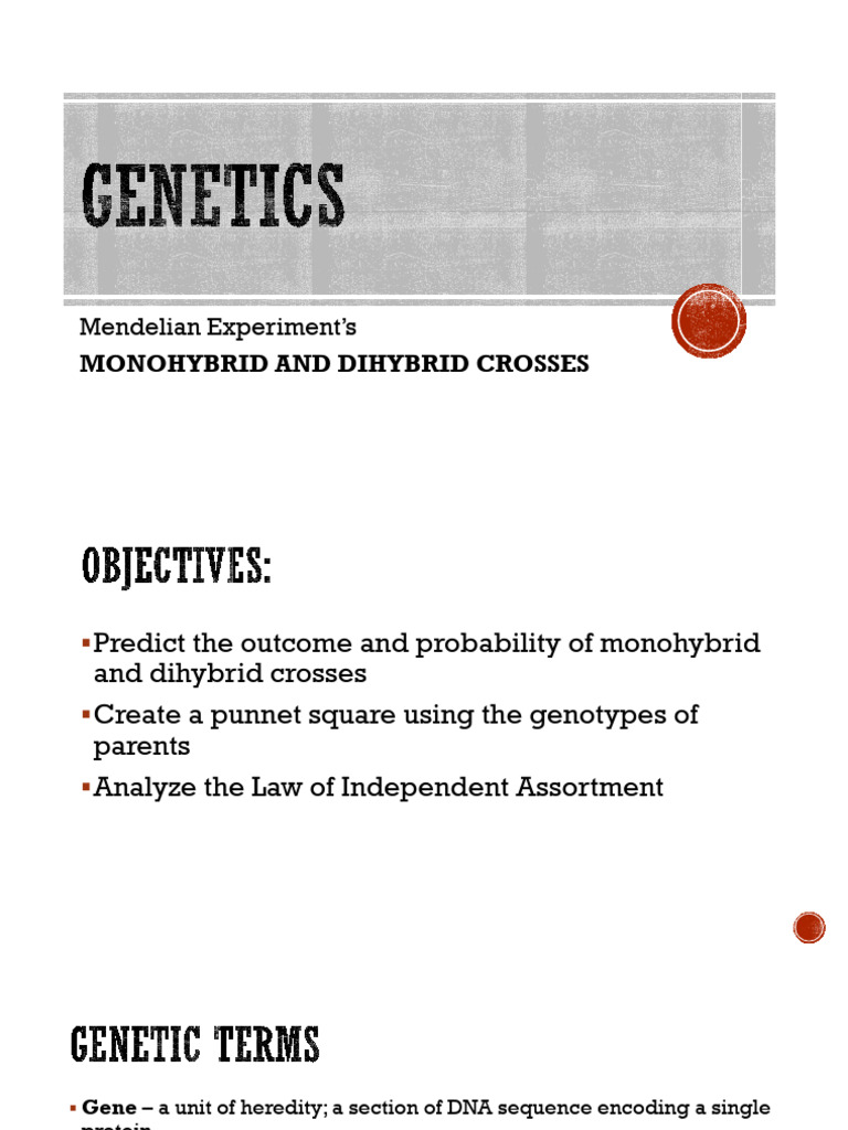 Genetics 2 | PDF | Dominance (Genetics) | Genotype