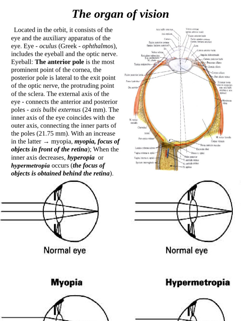 The Vision Organ. The II Cranial Nerve. The General Information of ...