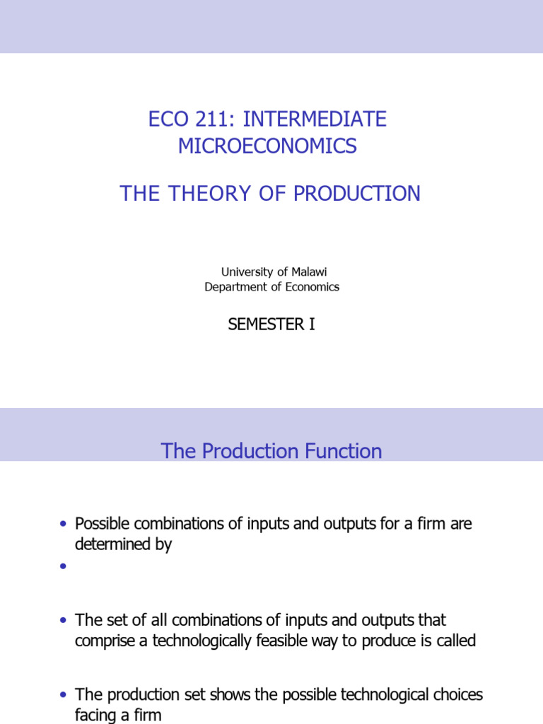 Lecture 5 Theory of Production 1 Production Function | PDF | Production Function | Economics