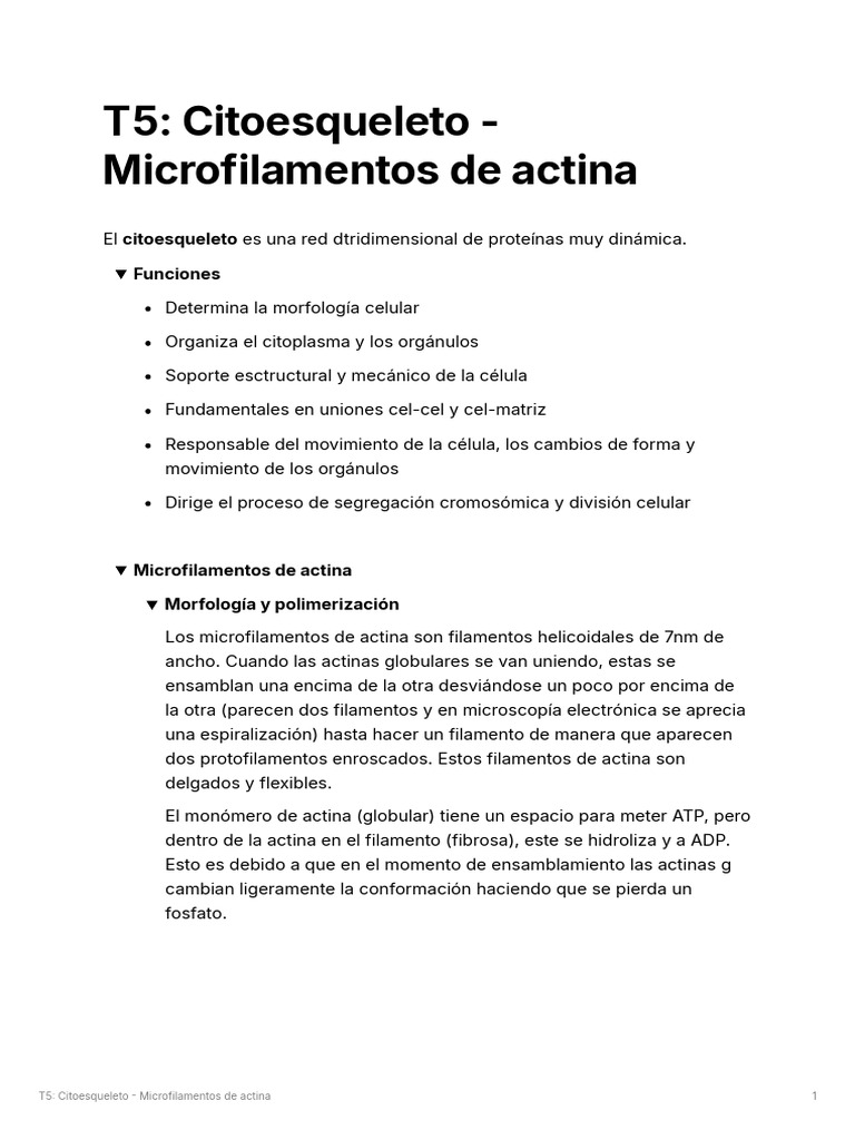 T5.Citoesqueleto - Microfilamentos de Actina | PDF | Actina | Citoesqueleto
