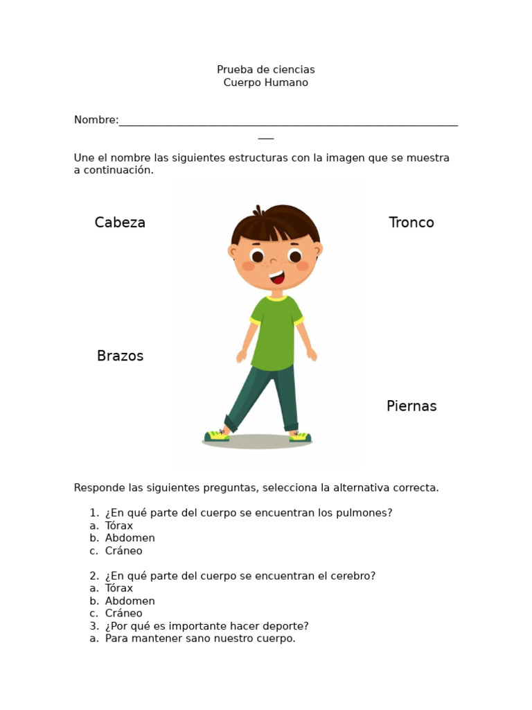 Cuerpo Humano 2º | PDF | Corazón | Tórax