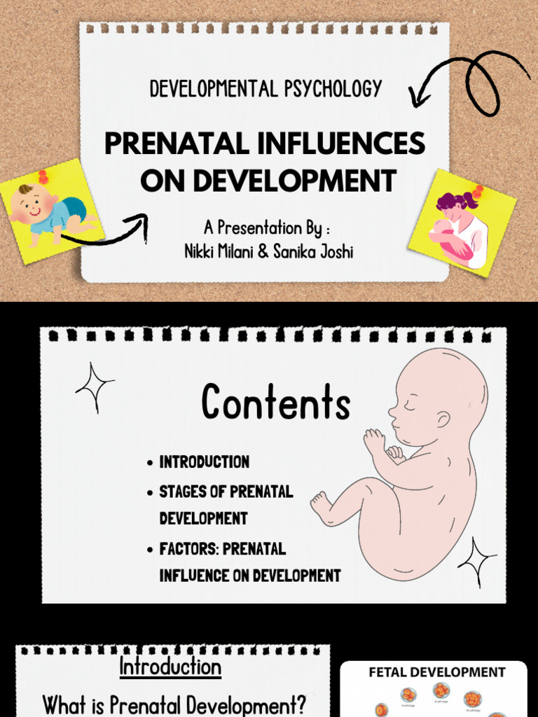 2.4prenatal Influences On Development | PDF | Prenatal Development | Fetus