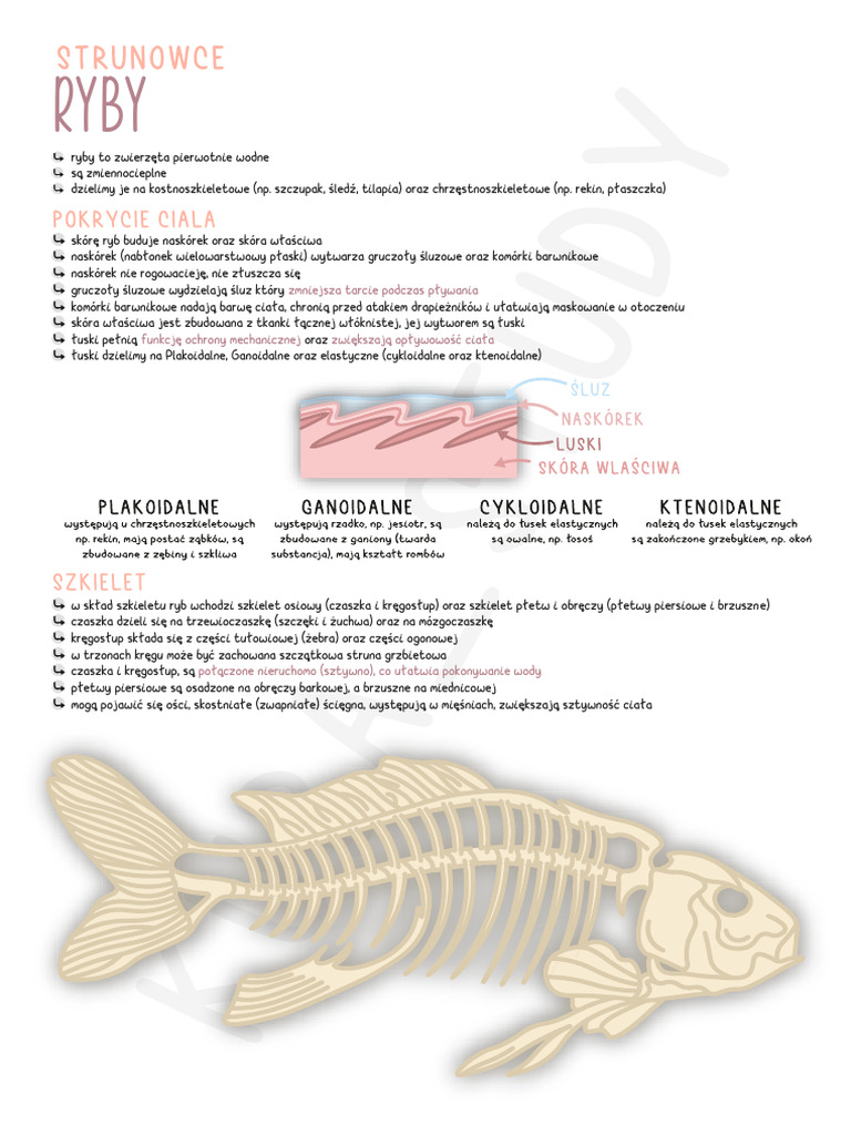 03 Ryby | PDF